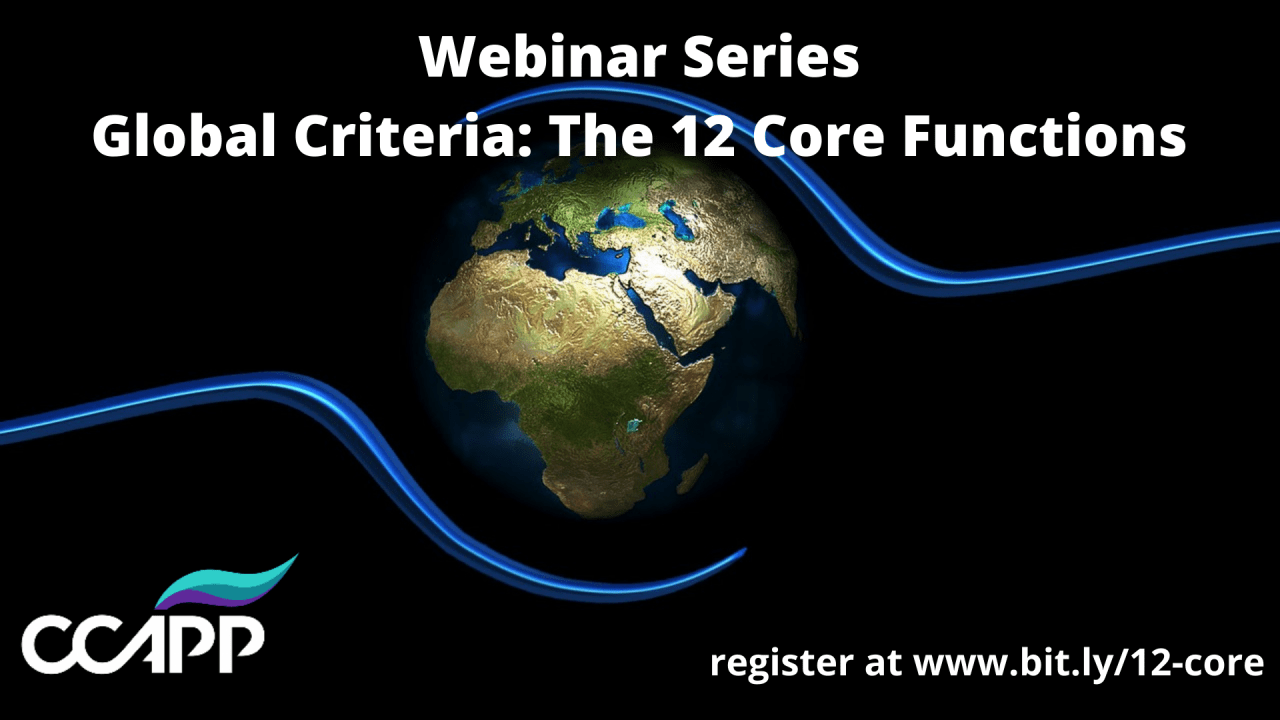 Global Criteria: The 12 Core Functions – Treatment Planning | National ...